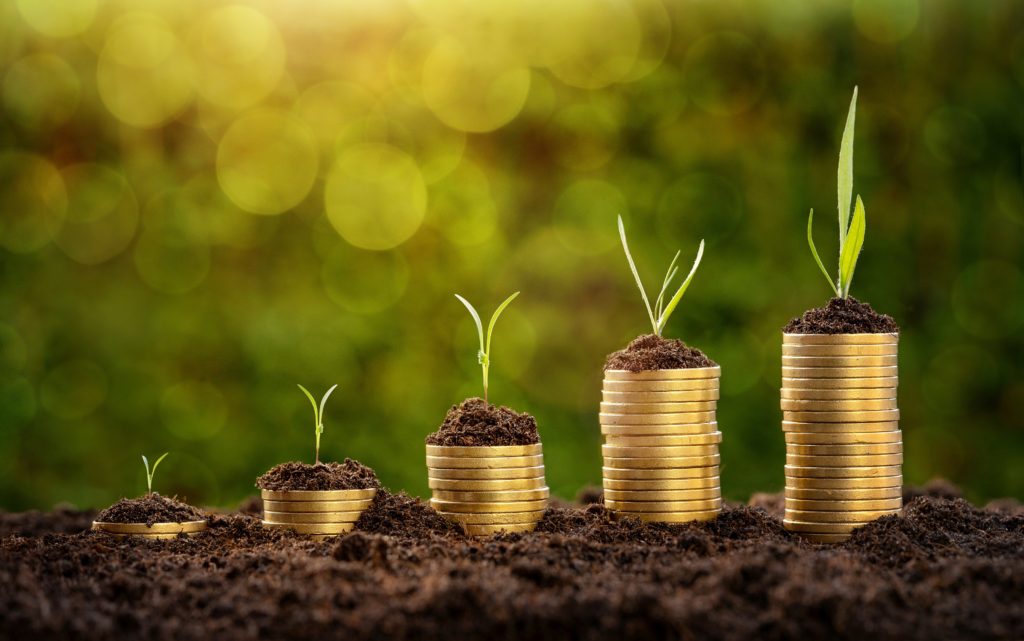Transition Vers La Comptabilité Verte : L’expert-comptable En Action ...